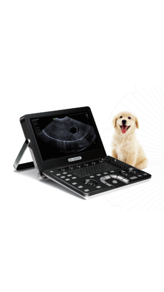 Veterinary - PT. Aktif Saintifik Indonesia